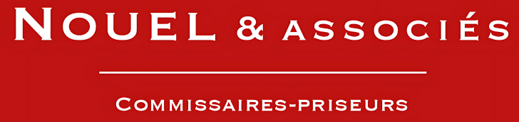 logo_nouel_associes20250602144945.png