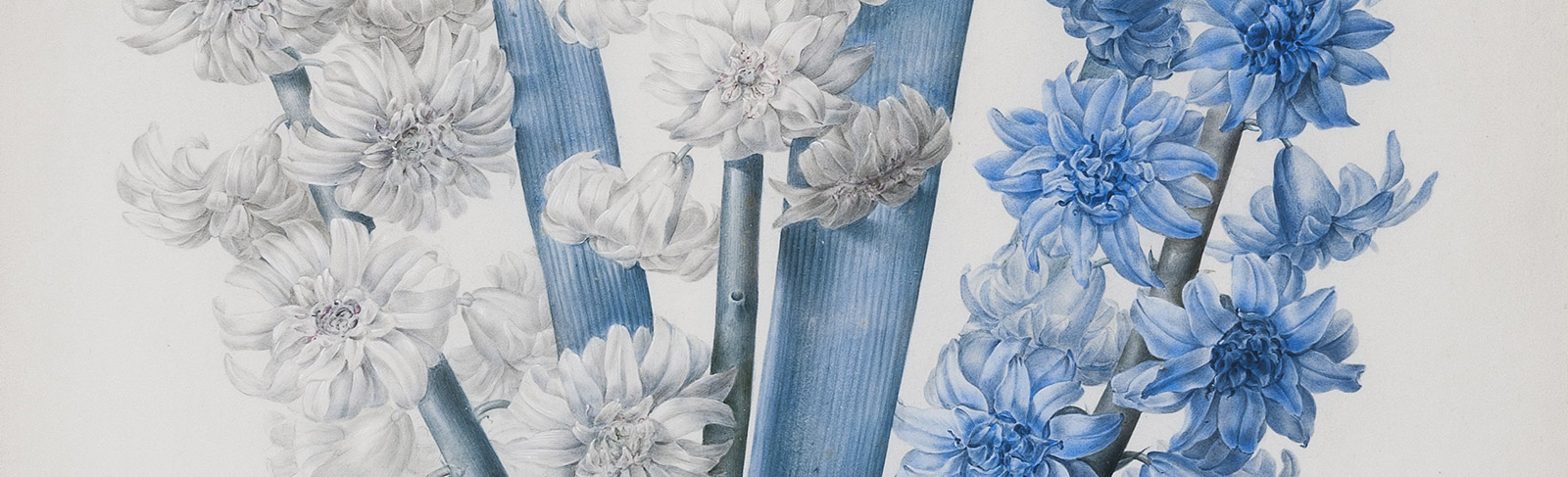 Ventes aux enchères - Drouot Estimations